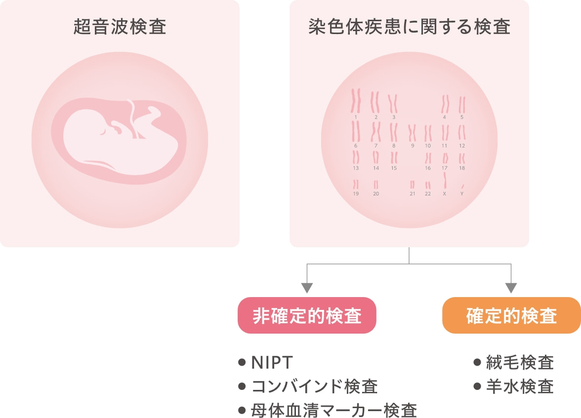 出生前検査の種類｜NIPTのGeneTech株式会社