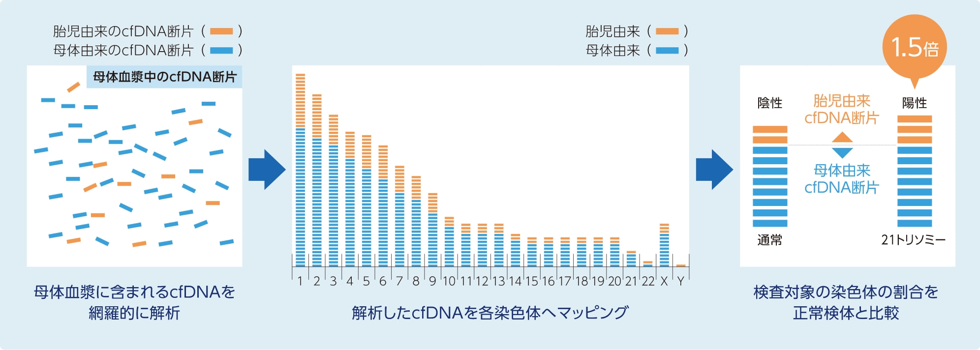 【医療関係者向け情報】GeneTech NIPTについて｜NIPTのGeneTech株式会社